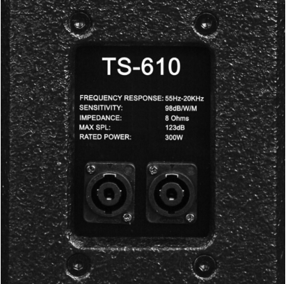 itc TS-610 专业音箱多媒体会议音频设备丨扩声系统设备丨学校公园广场背景音乐音箱音响定阻 TS-610